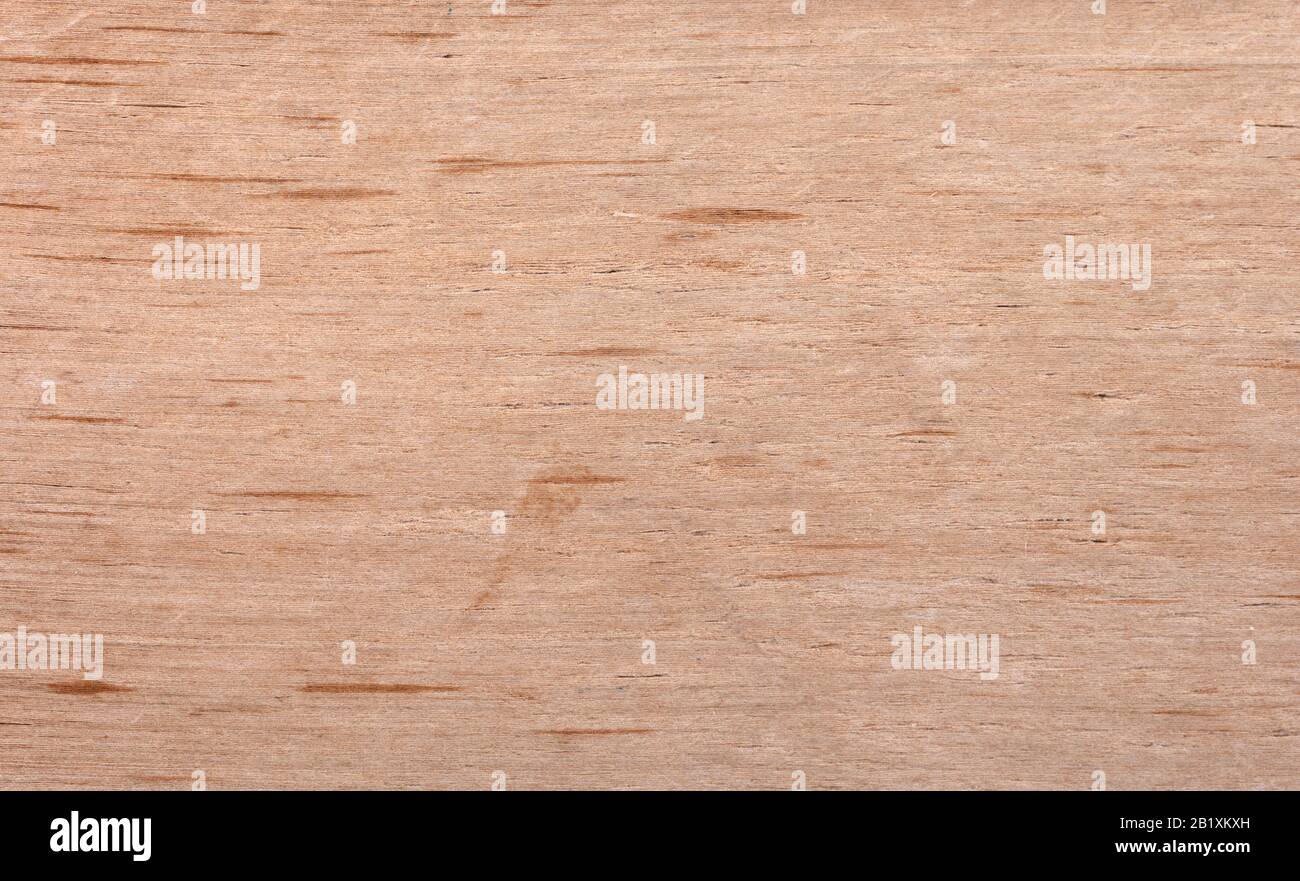 Pages of an old book isolated, yellow and stained Stock Photo - Alamy