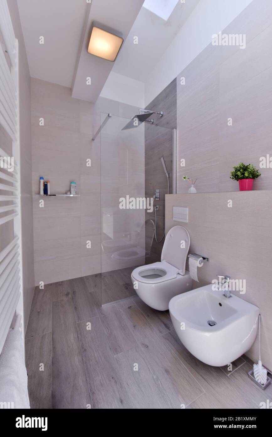 luxury stylish bathroom interior with toilet,bidet sink and spacious ...