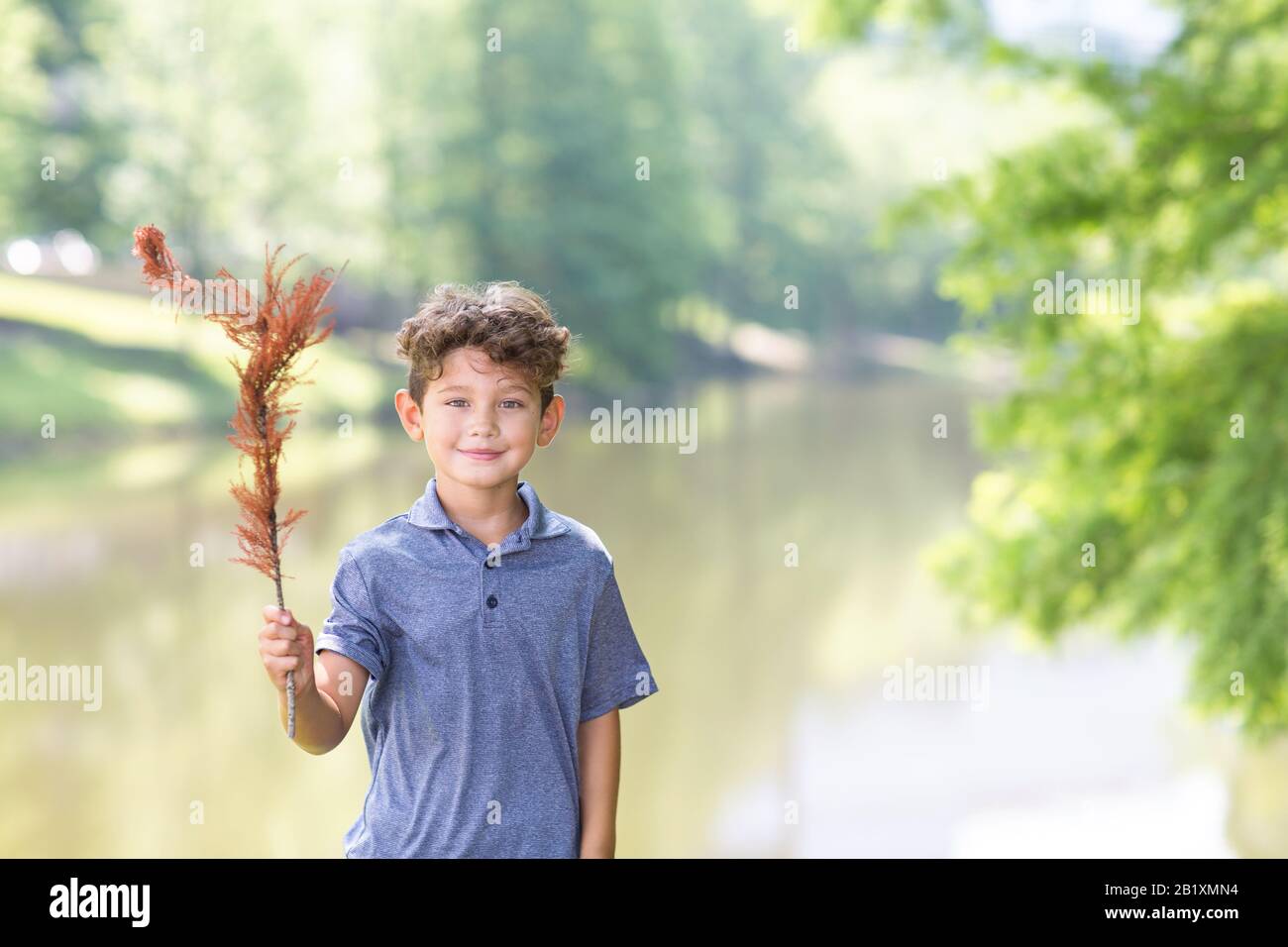 Mixed feather hi-res stock photography and images - Alamy