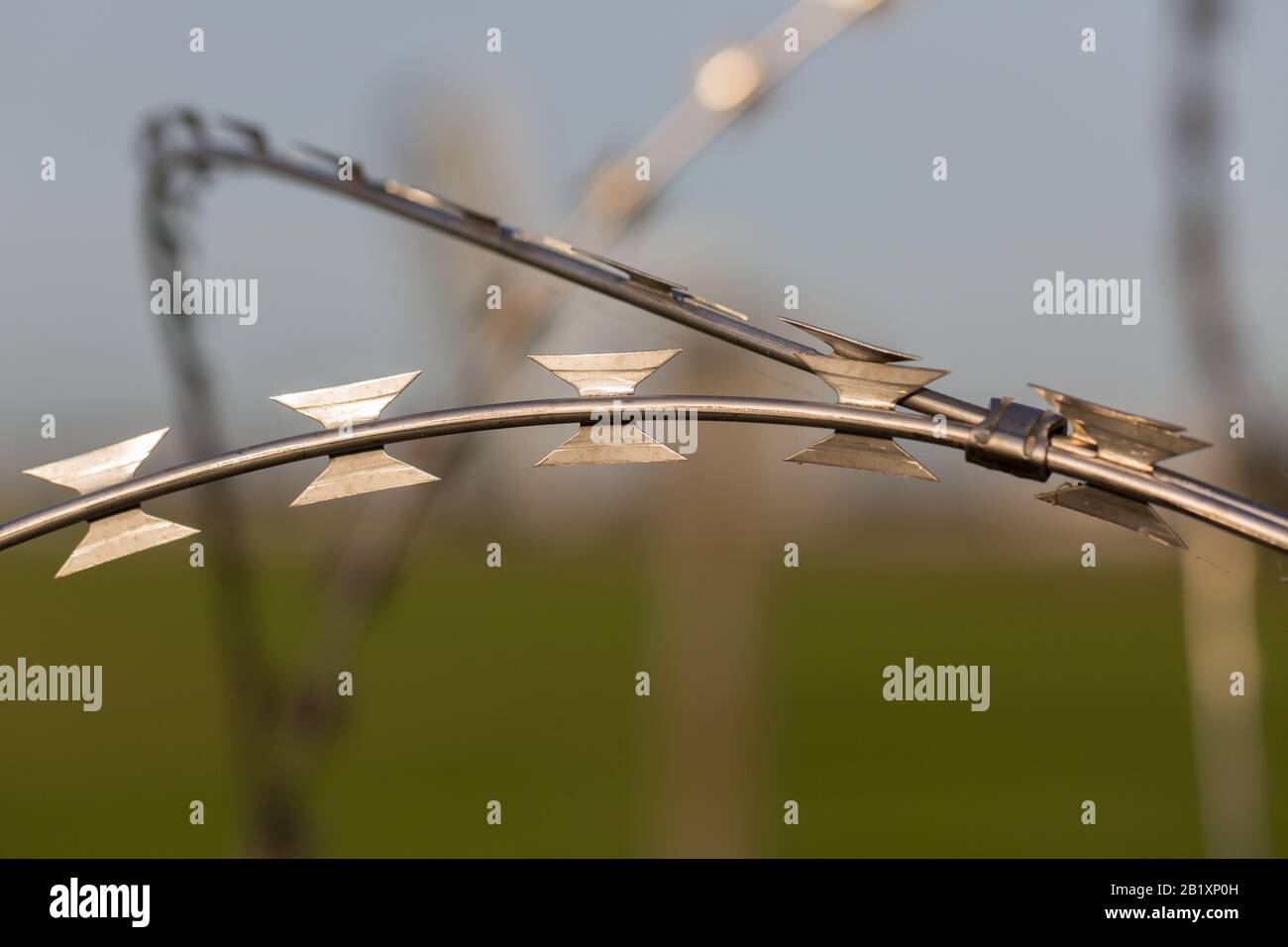 Close-up / isolated view of sharp barbed wire / razor wire. Blue (sky ...