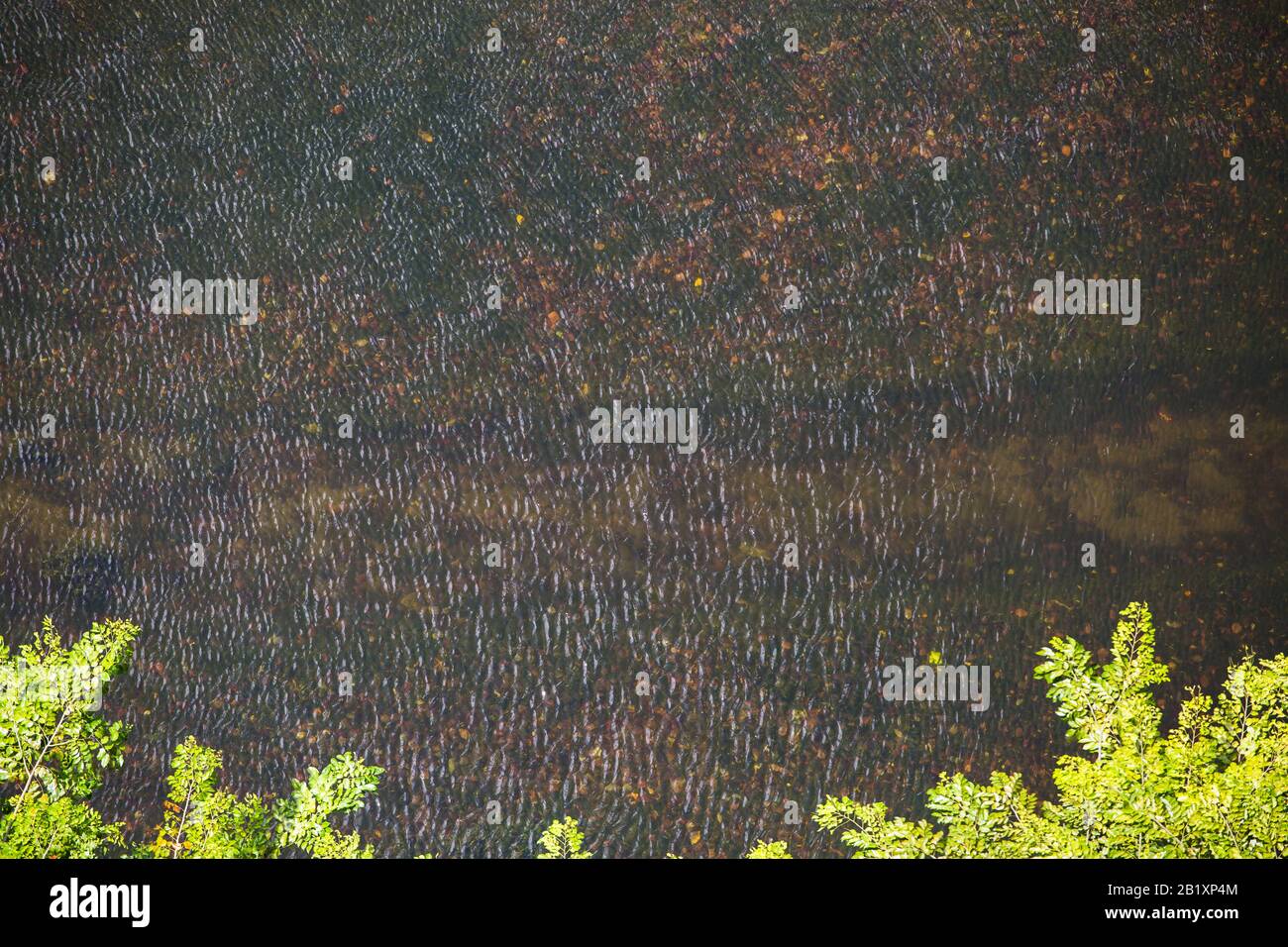 Aerial view of clean river that can can see through to the bottom ...