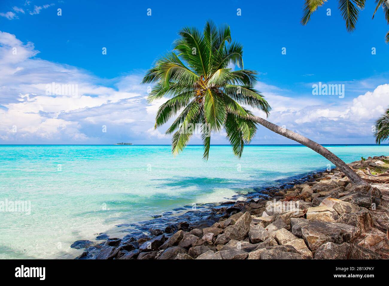 Tropical beach green foliage blue hi-res stock photography and images ...