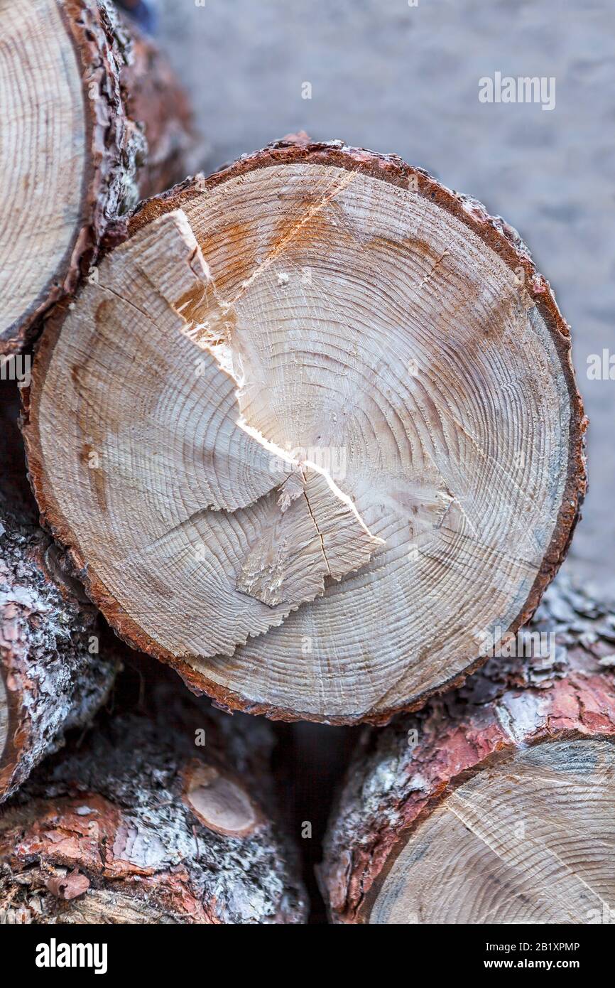 Wooden natural sawn logs background Stock Photo - Alamy
