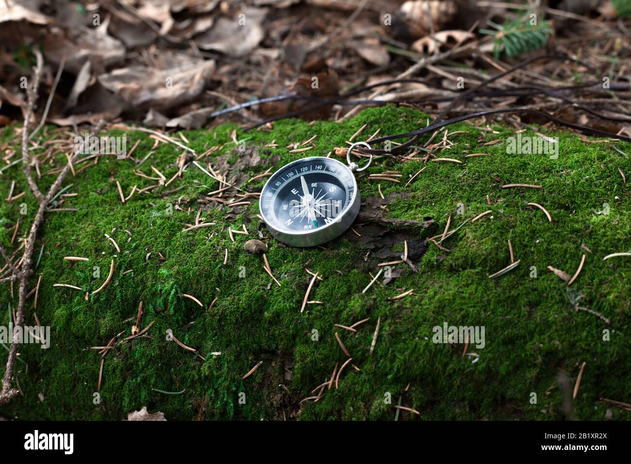 Mossy log compass hi-res stock photography and images - Alamy