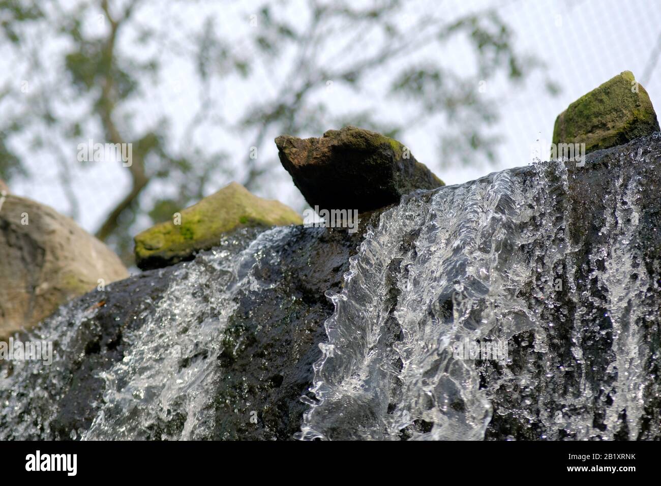 waterfall in green wooded area with grass plants and trees blijdorp ...
