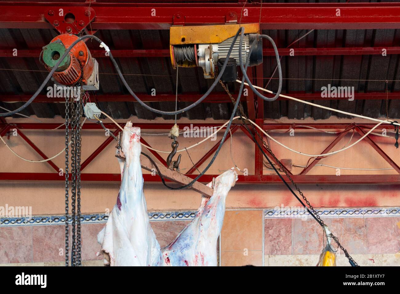 Slaughter house with appliance and slaughtering animal Stock Photo - Alamy