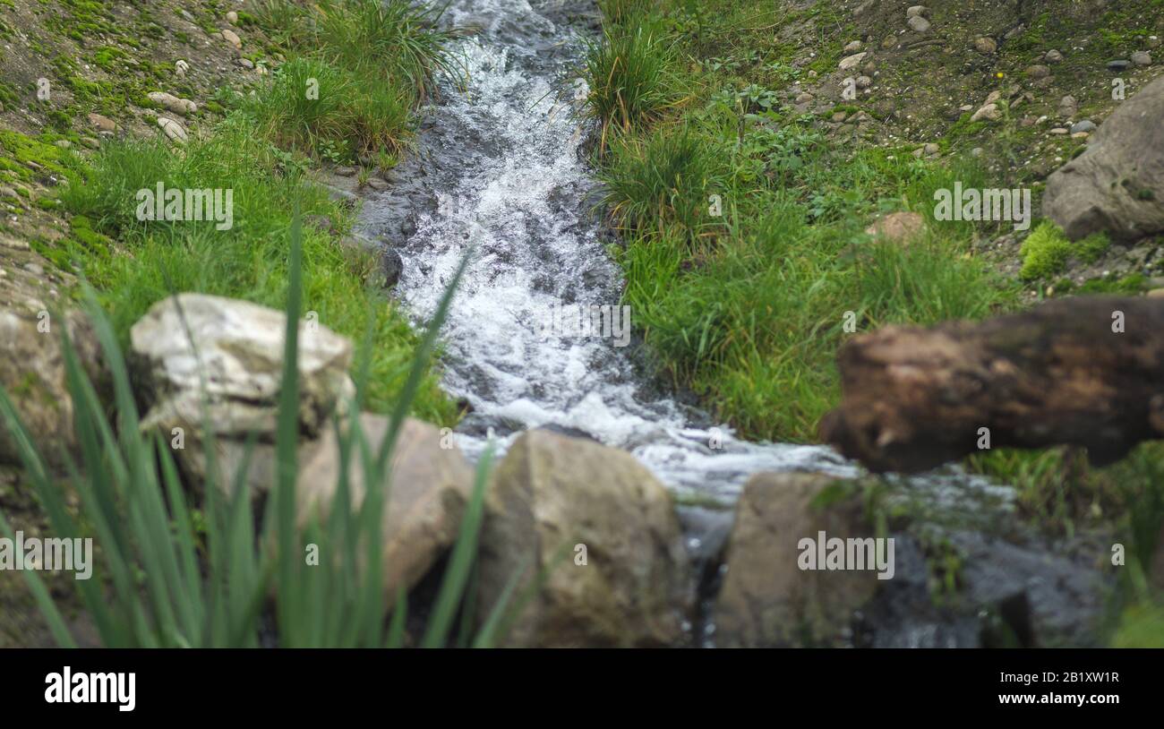 waterfall in green wooded area with grass plants and trees blijdorp ...