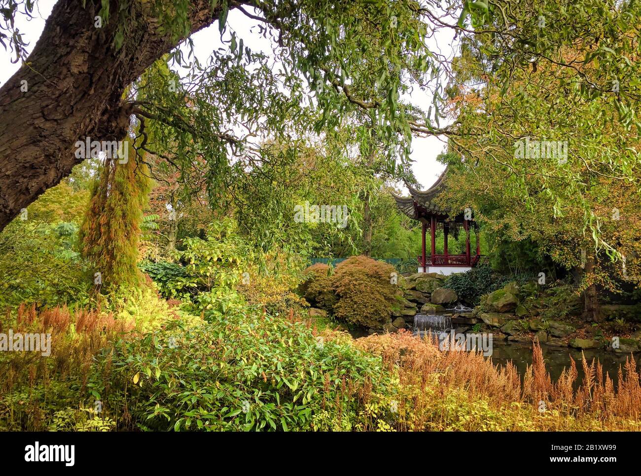 waterfall in green wooded area with grass plants and trees blijdorp ...