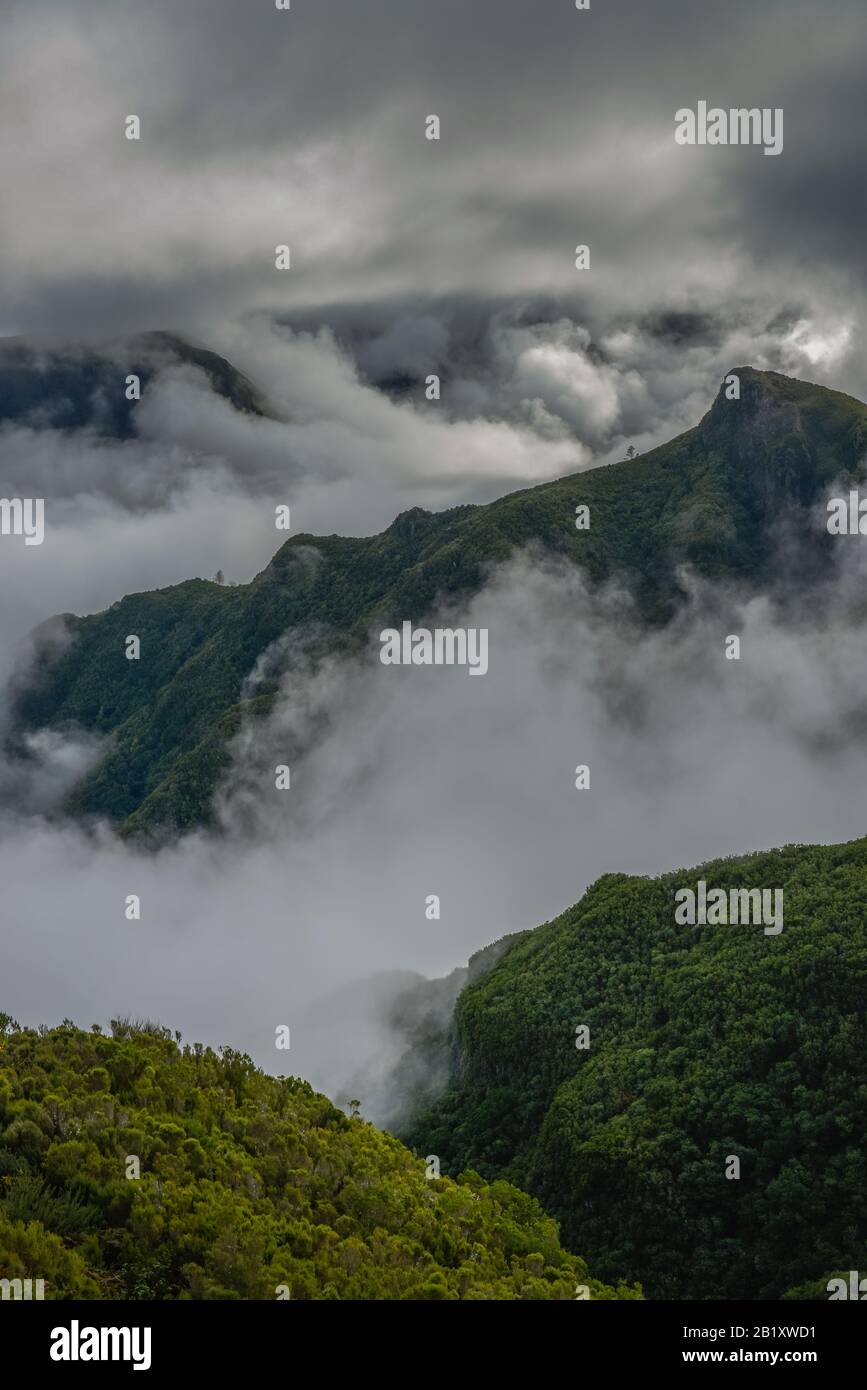 Rabacal hi-res stock photography and images - Alamy