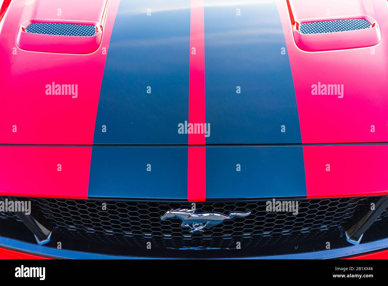 Logotipo Deportivo Mustang Mustang GT 𝐖𝐢𝐭𝐡