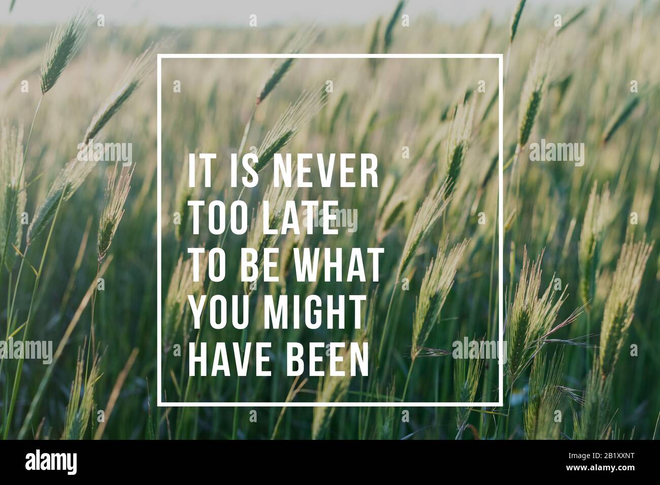 It's never too late sign hi-res stock photography and images - Alamy