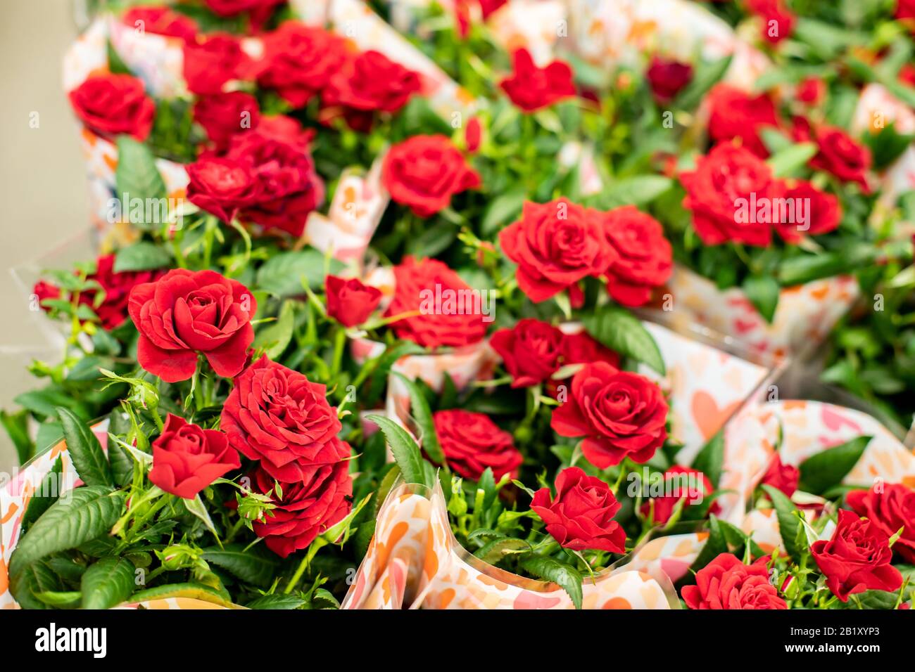 Red roses blossom in bouquets at the market. Small flowers of spray ...