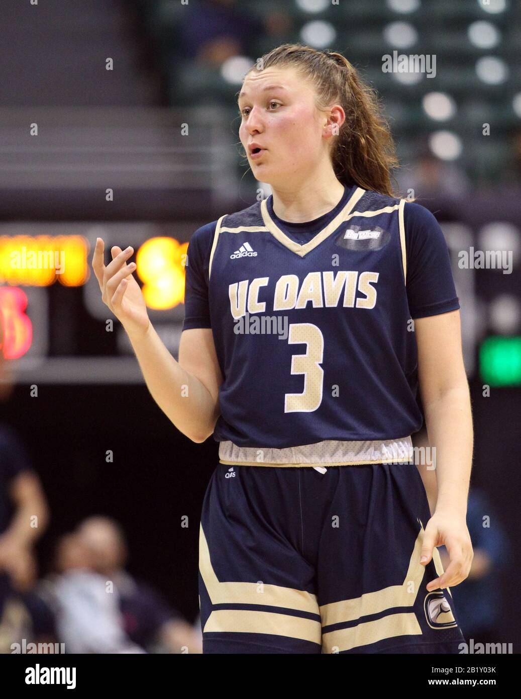 Gray stan hi-res stock photography and images - Alamy