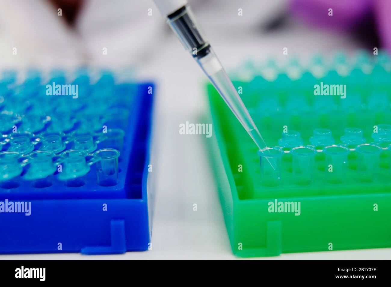 Components of synthetic rda, part of the Coronavirus COVID-19 detection ...