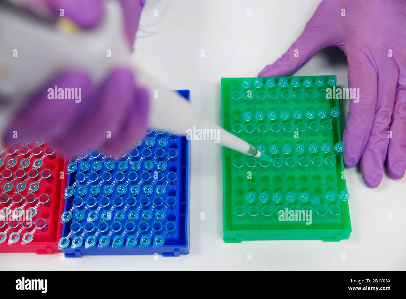 Components of synthetic rda, part of the Coronavirus COVID-19 detection ...