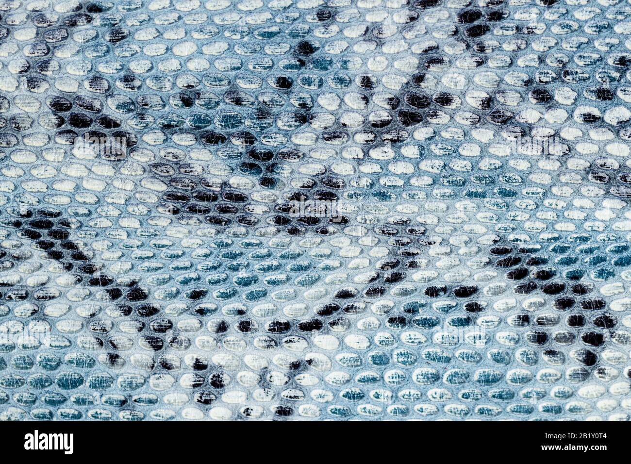 Snakeskin pattern hi-res stock photography and images - Alamy