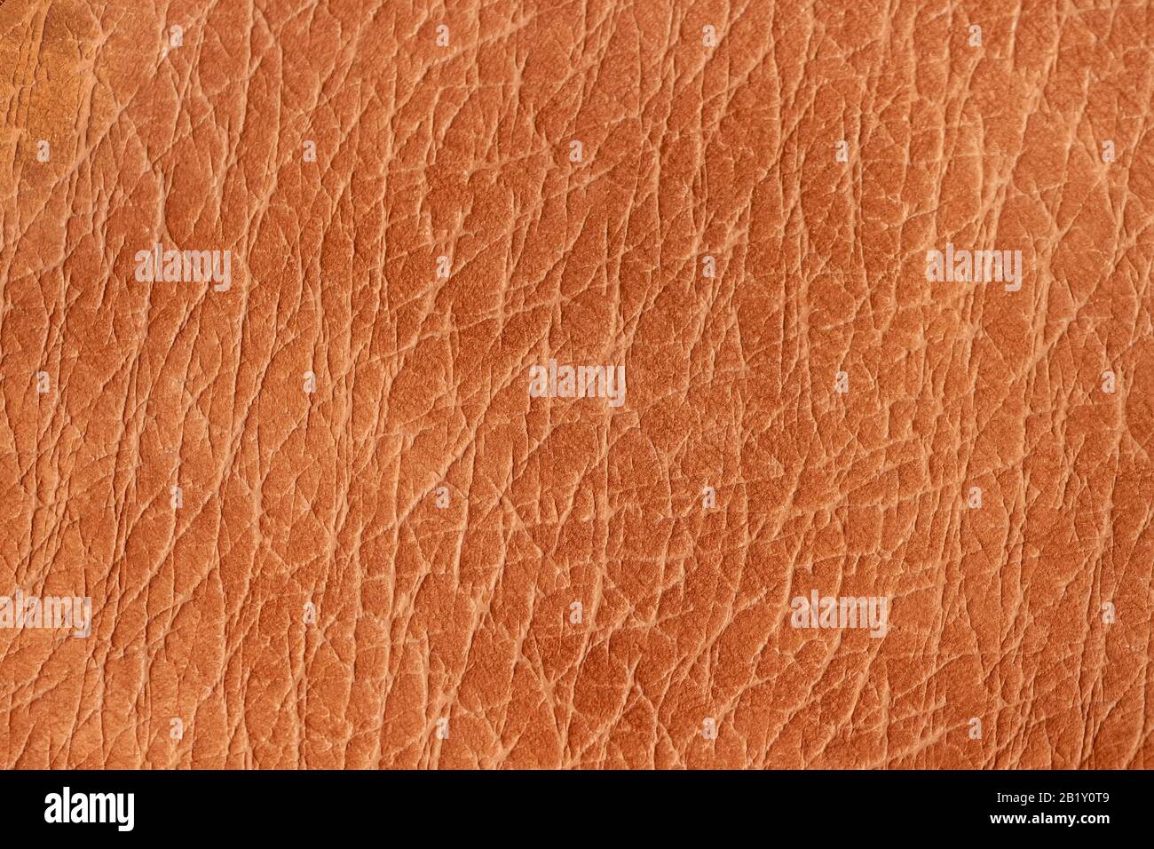 Texture of genuine leather close-up, nubuck suede, brown color print ...