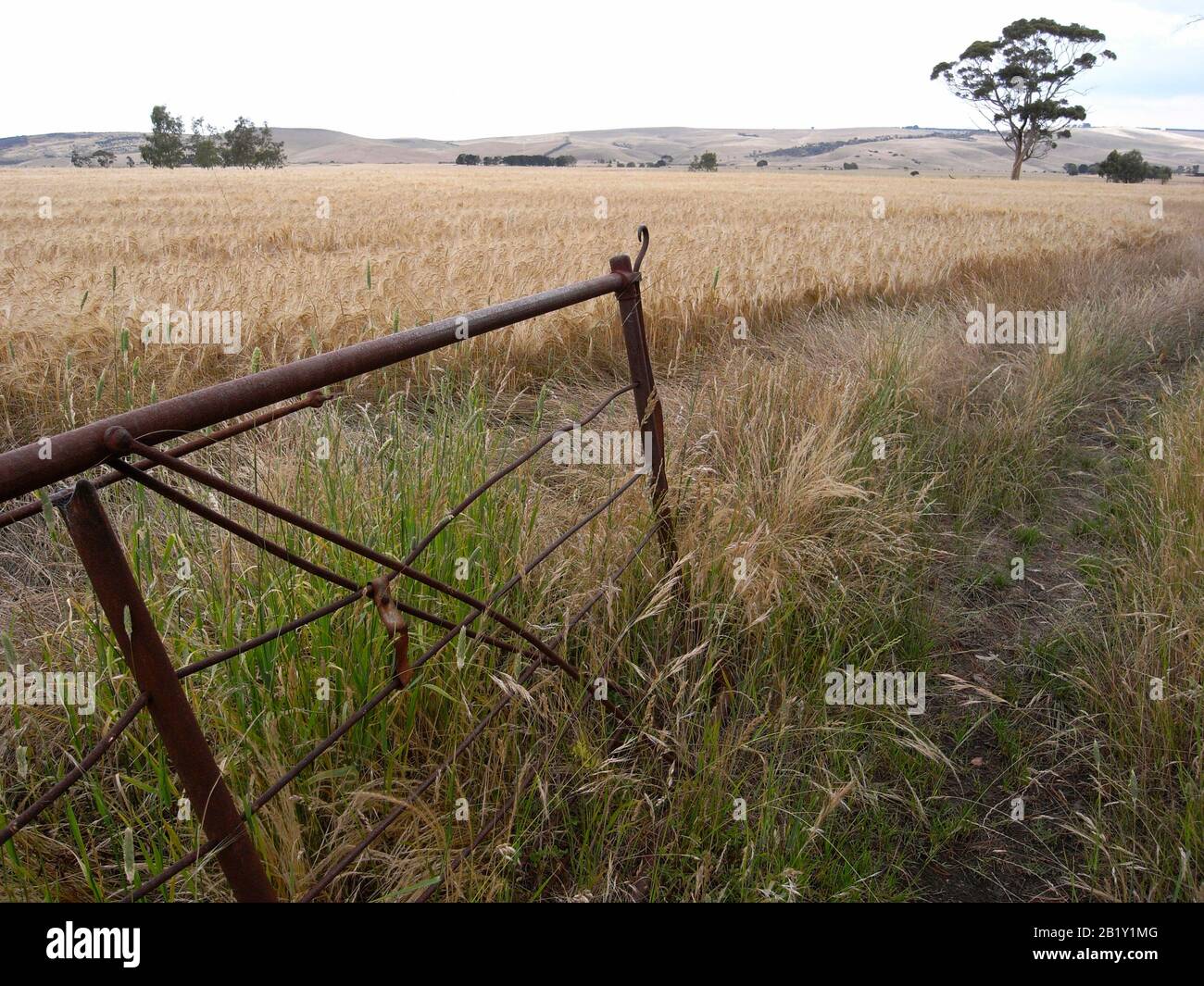 Geelong australia countryside nature hi-res stock photography and ...