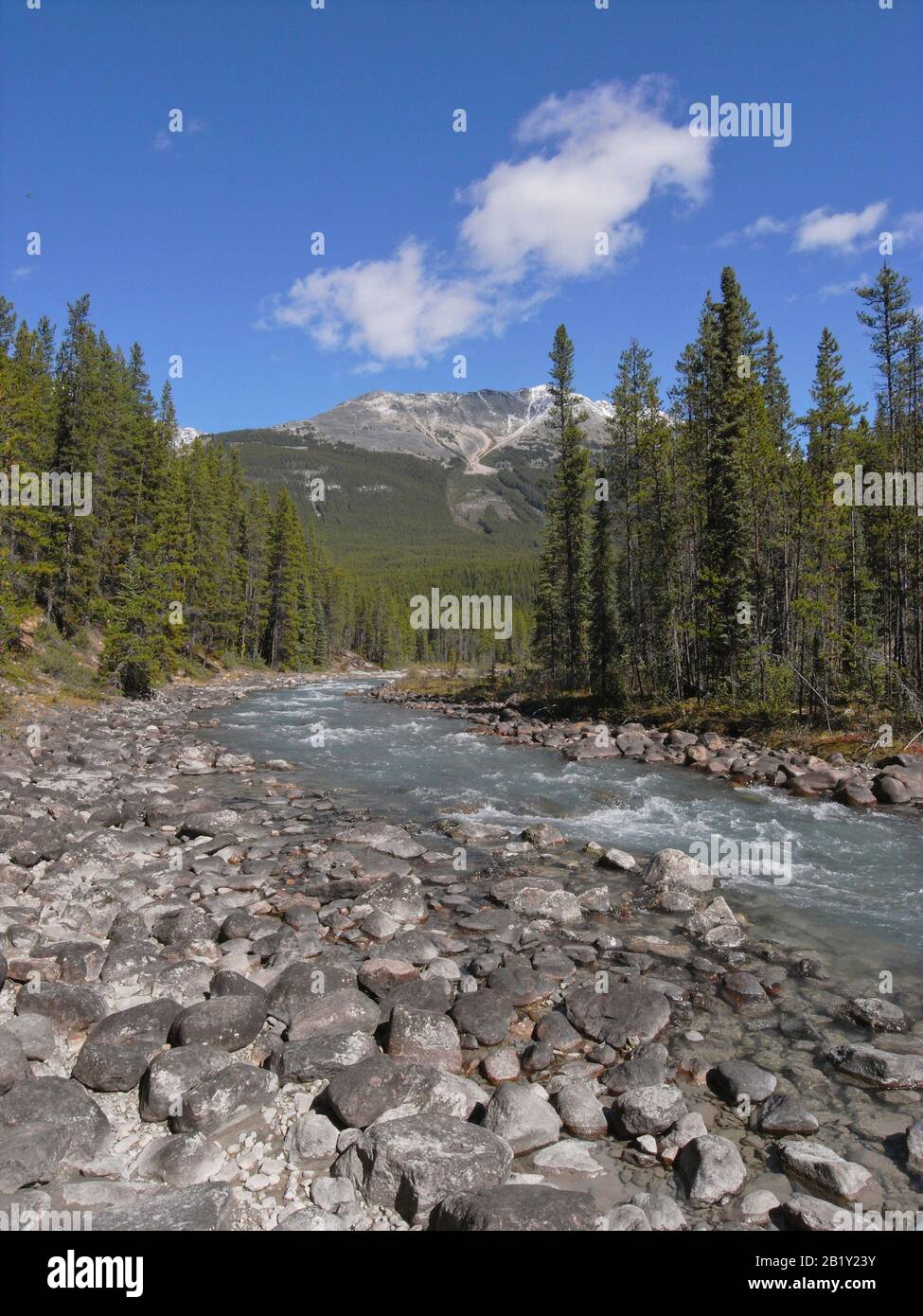 Jasper National Park in Canada Stock Photo - Alamy