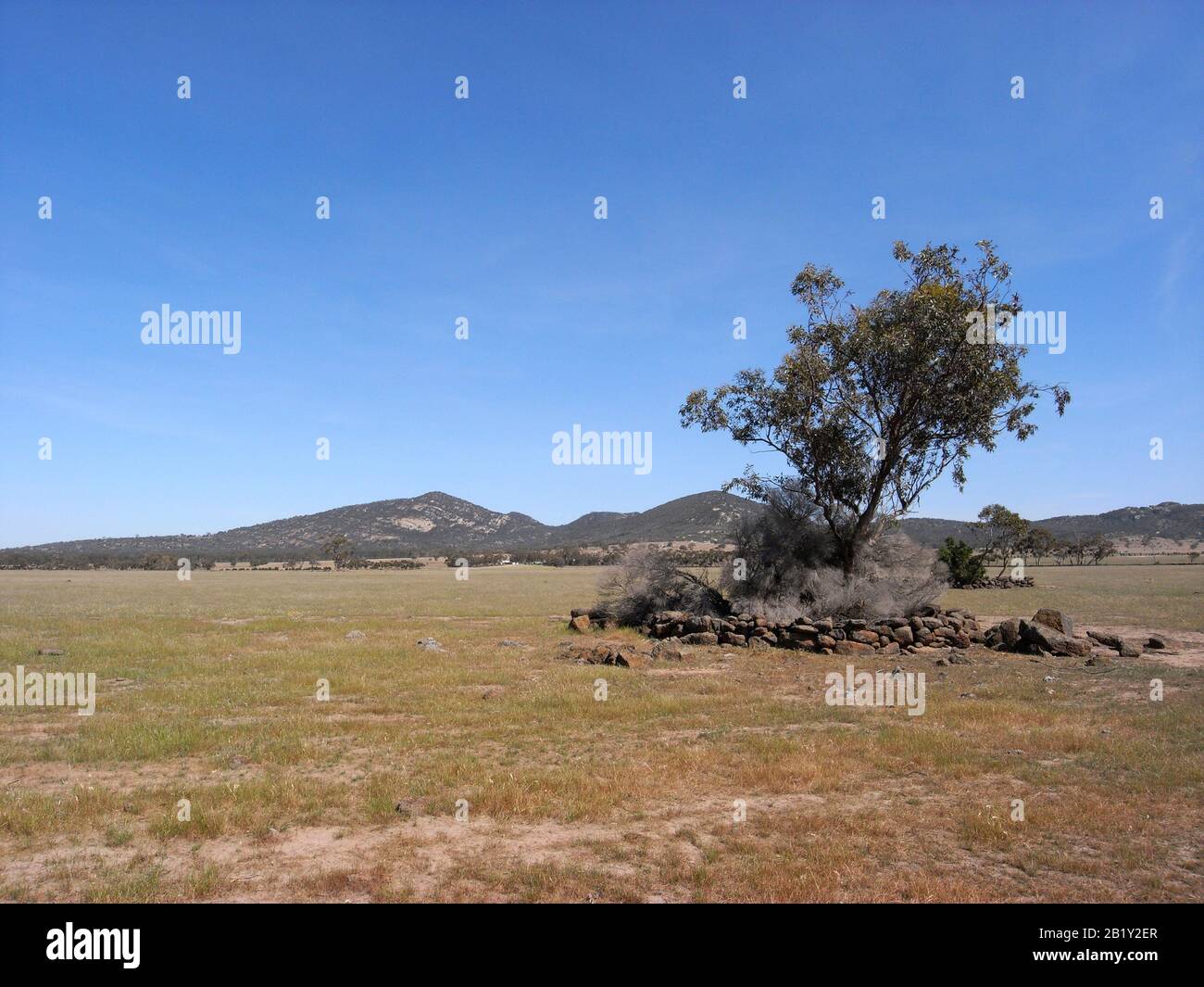 You yangs regional park hi-res stock photography and images - Alamy