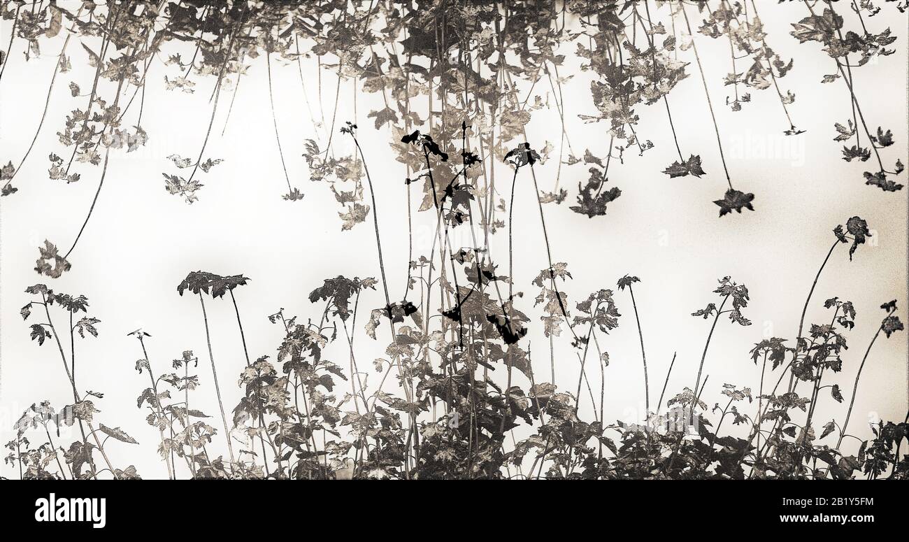 Artistic abstract and impressionistic photography in shades hues and ...