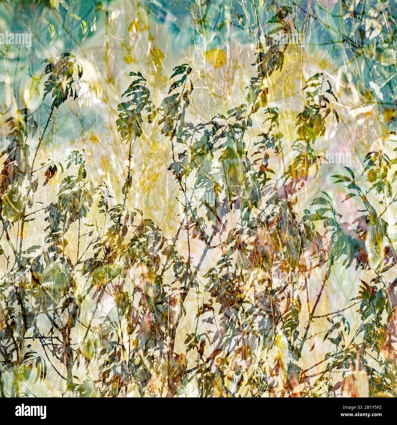 Artistic abstract and impressionistic photography in shades hues and ...