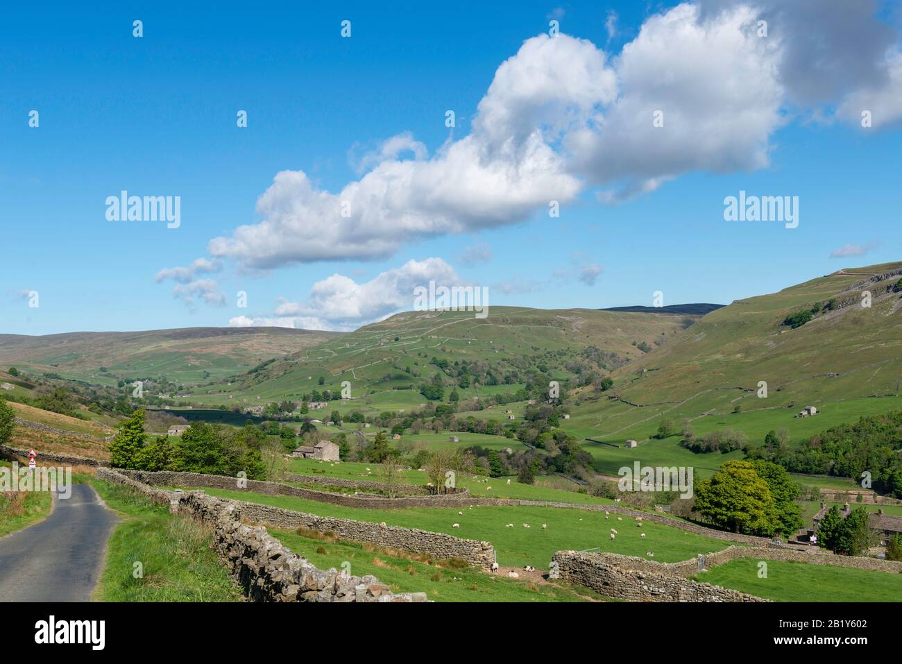 Attractive Upper Swaledale view with typical Yorkshire Dales meadows ...