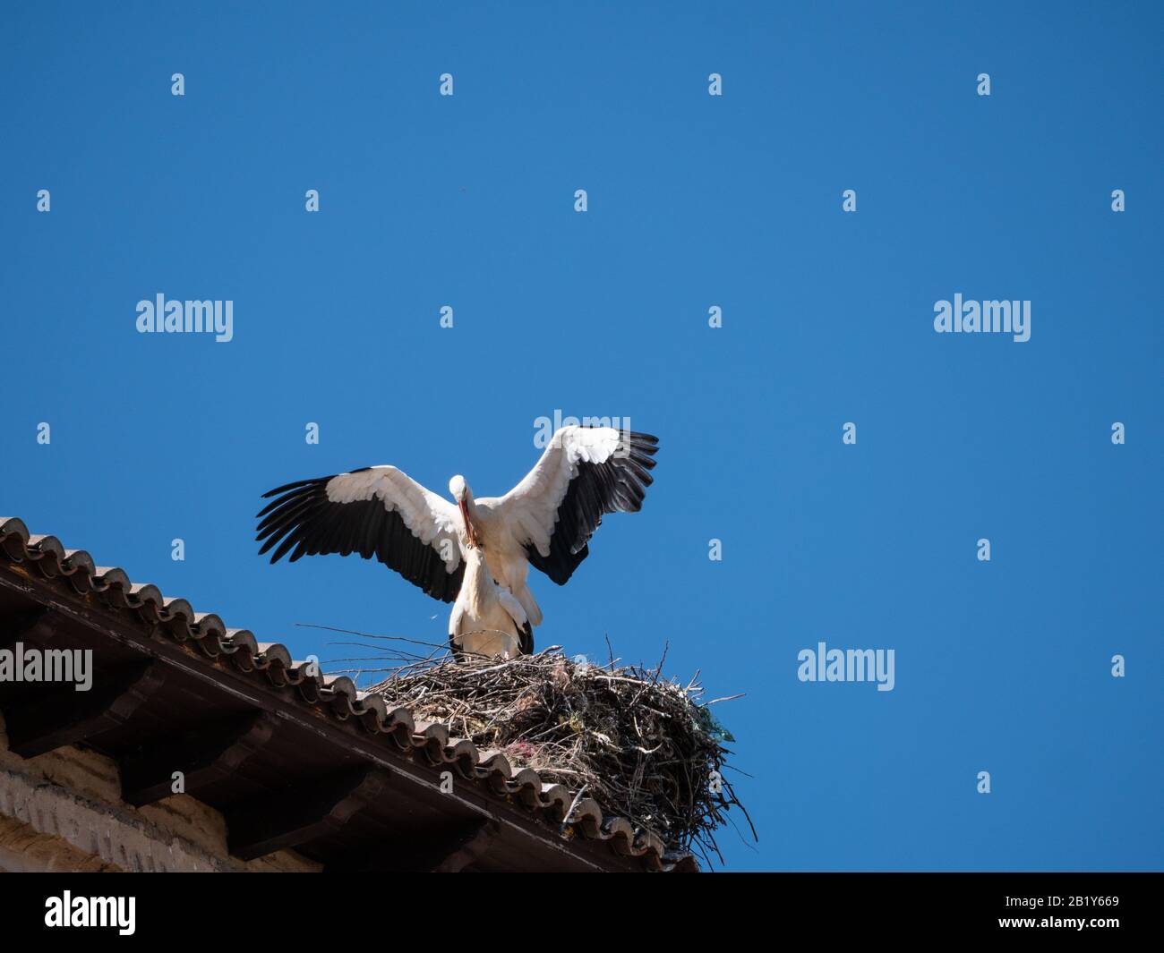 storks on the top of the church steeples in Castilla y Leon Stock Photo ...