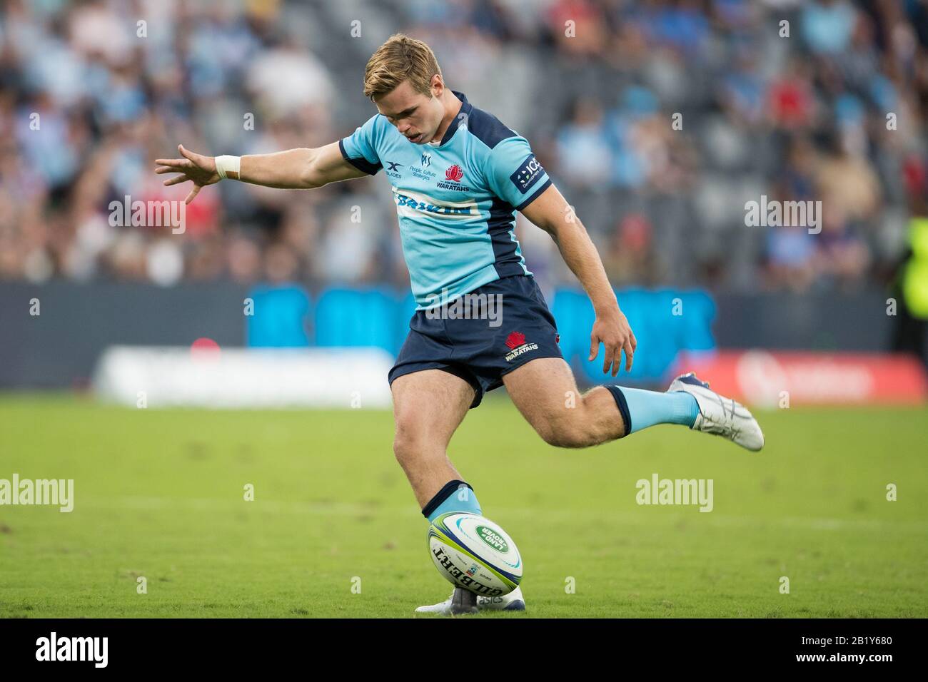 Emirates lions hi-res stock photography and images - Alamy