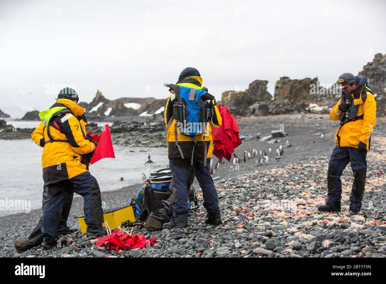 Polar guides from an expedition cruise ship on Half Moon Island in the ...