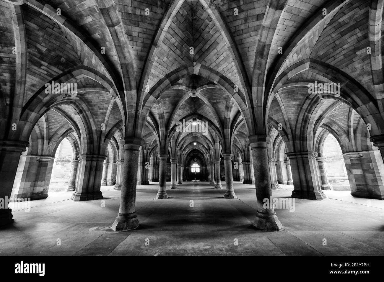 Tea Fields of China Stock Photo - Alamy