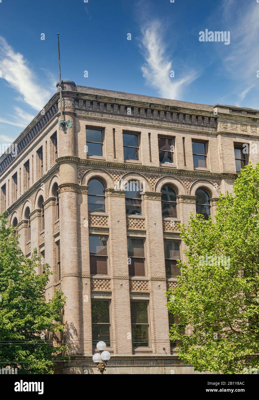 Windows office building trees hi-res stock photography and images - Alamy