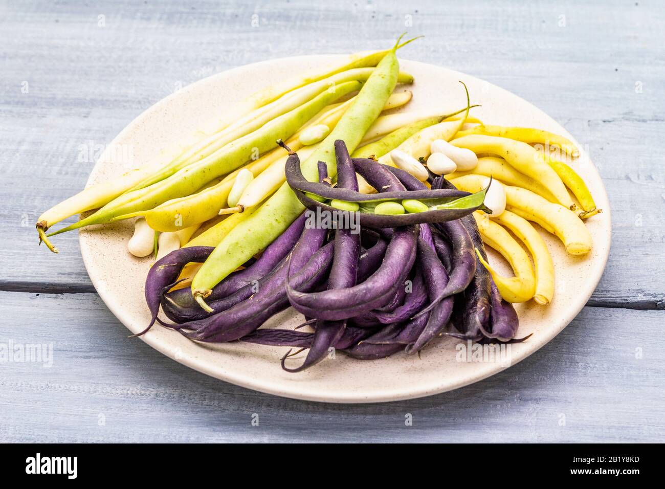 Assorted freshly colored beans in pods. Purple, yellow and green beans ...