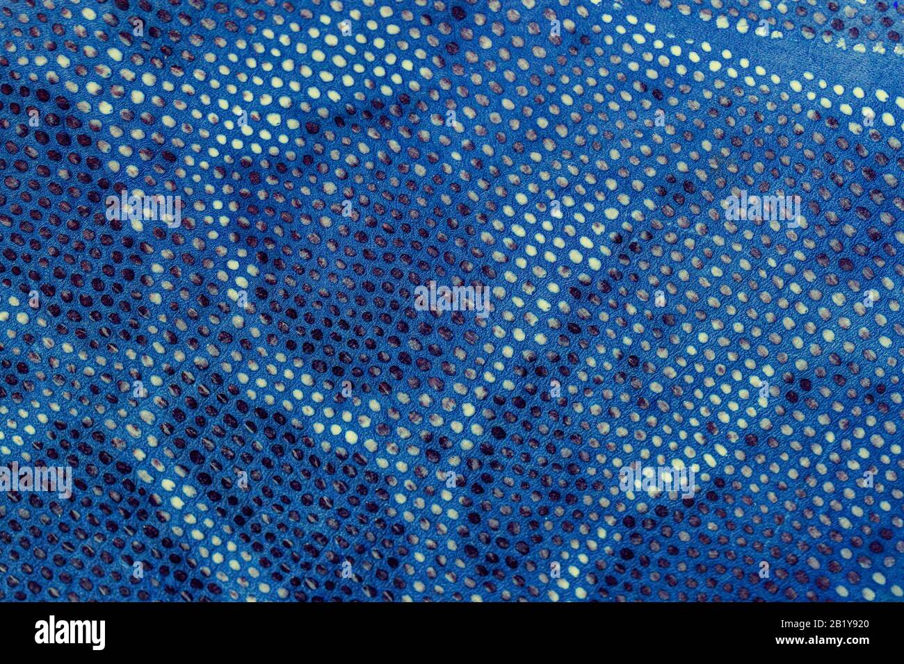 Snakeskin pattern on genuine leather close-up, imitation of exotic ...