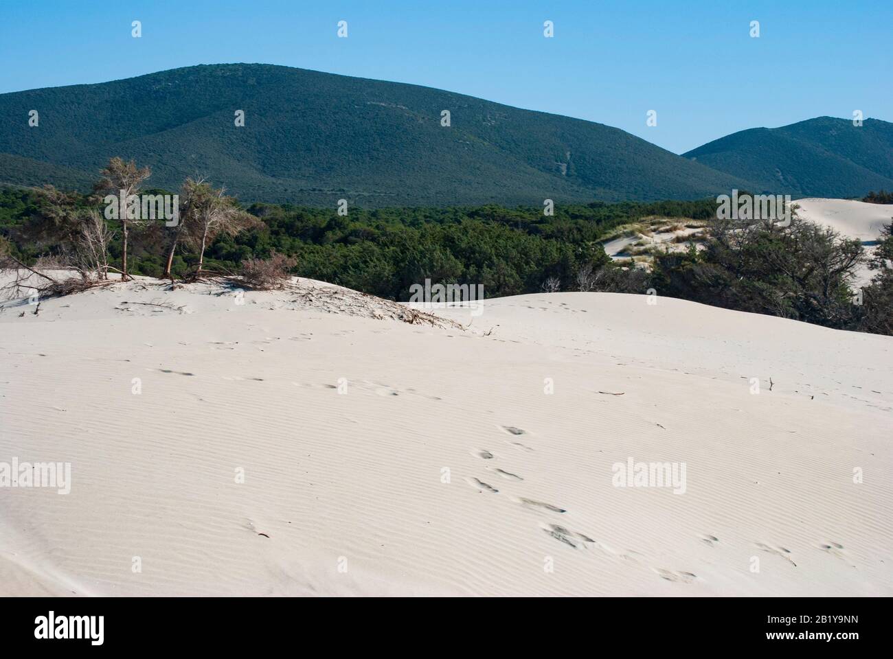 View of white dunes of Is Arenas Biancas, Teulada Stock Photo - Alamy