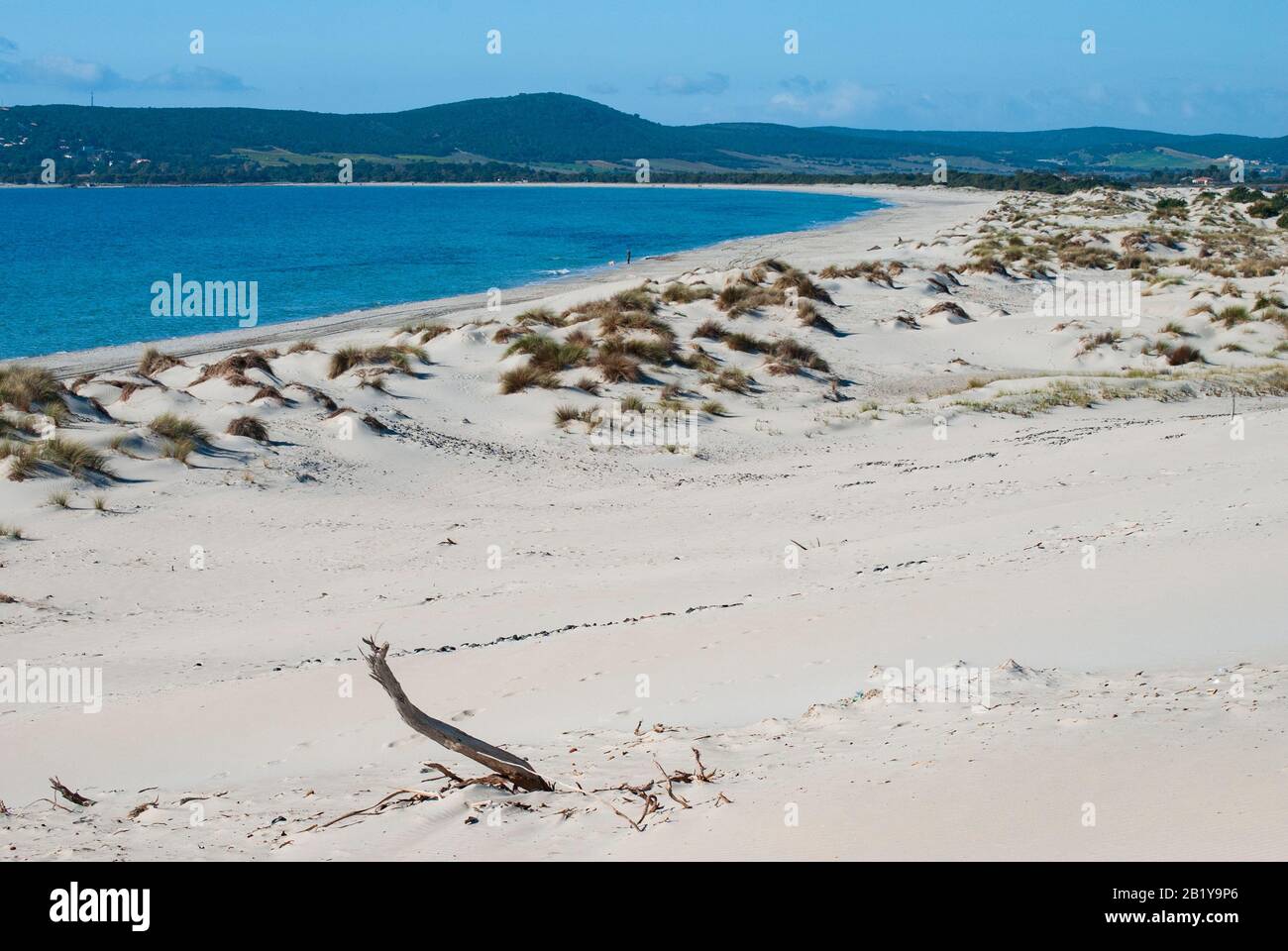 View of white dunes of Is Arenas Biancas, Teulada Stock Photo - Alamy