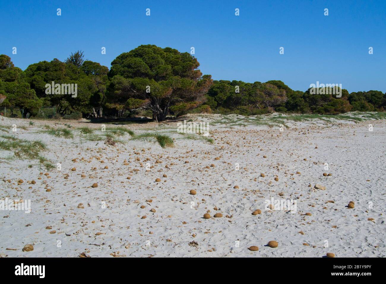 View of Porto Pino beach Stock Photo - Alamy