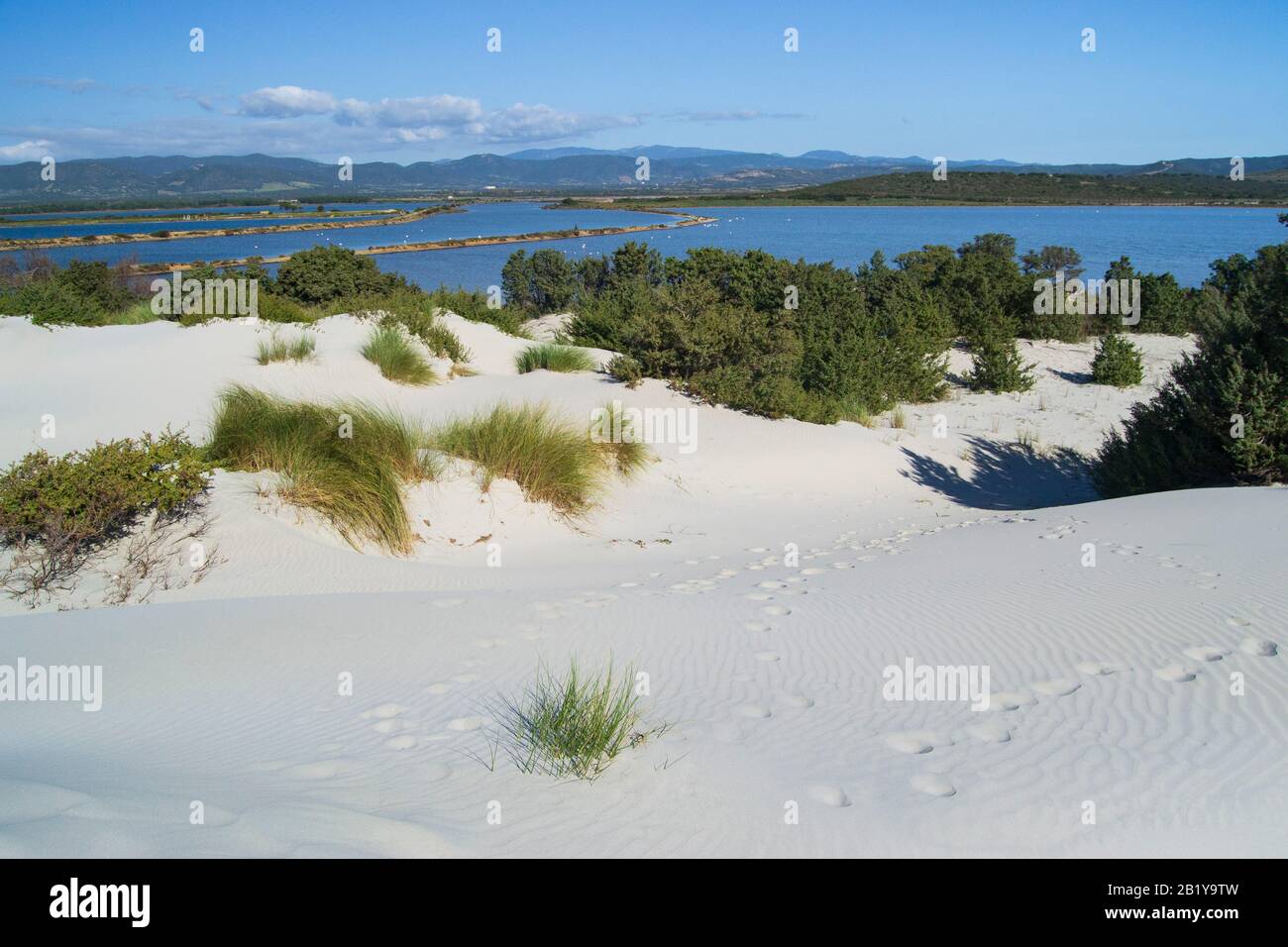 View of white dunes of Is Arenas Biancas, Teulada Stock Photo - Alamy