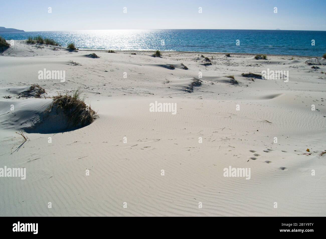 View of white dunes of Is Arenas Biancas, Teulada Stock Photo - Alamy