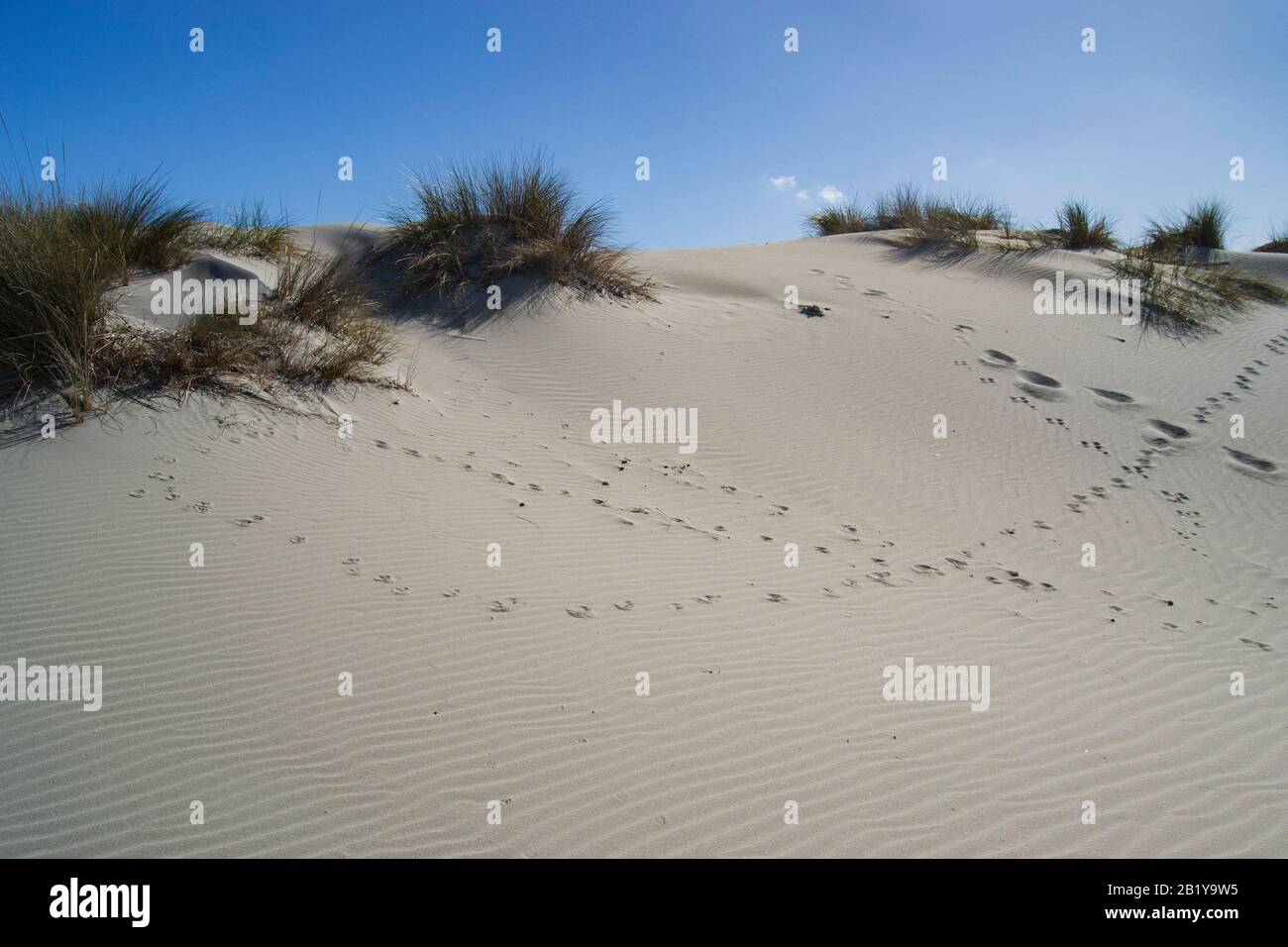 View of white dunes of Is Arenas Biancas, Teulada Stock Photo - Alamy
