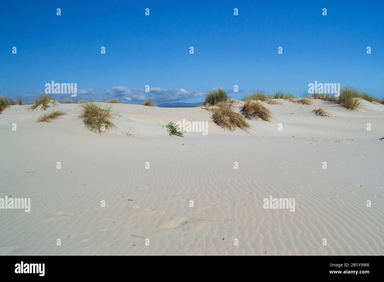 View of white dunes of Is Arenas Biancas, Teulada Stock Photo - Alamy