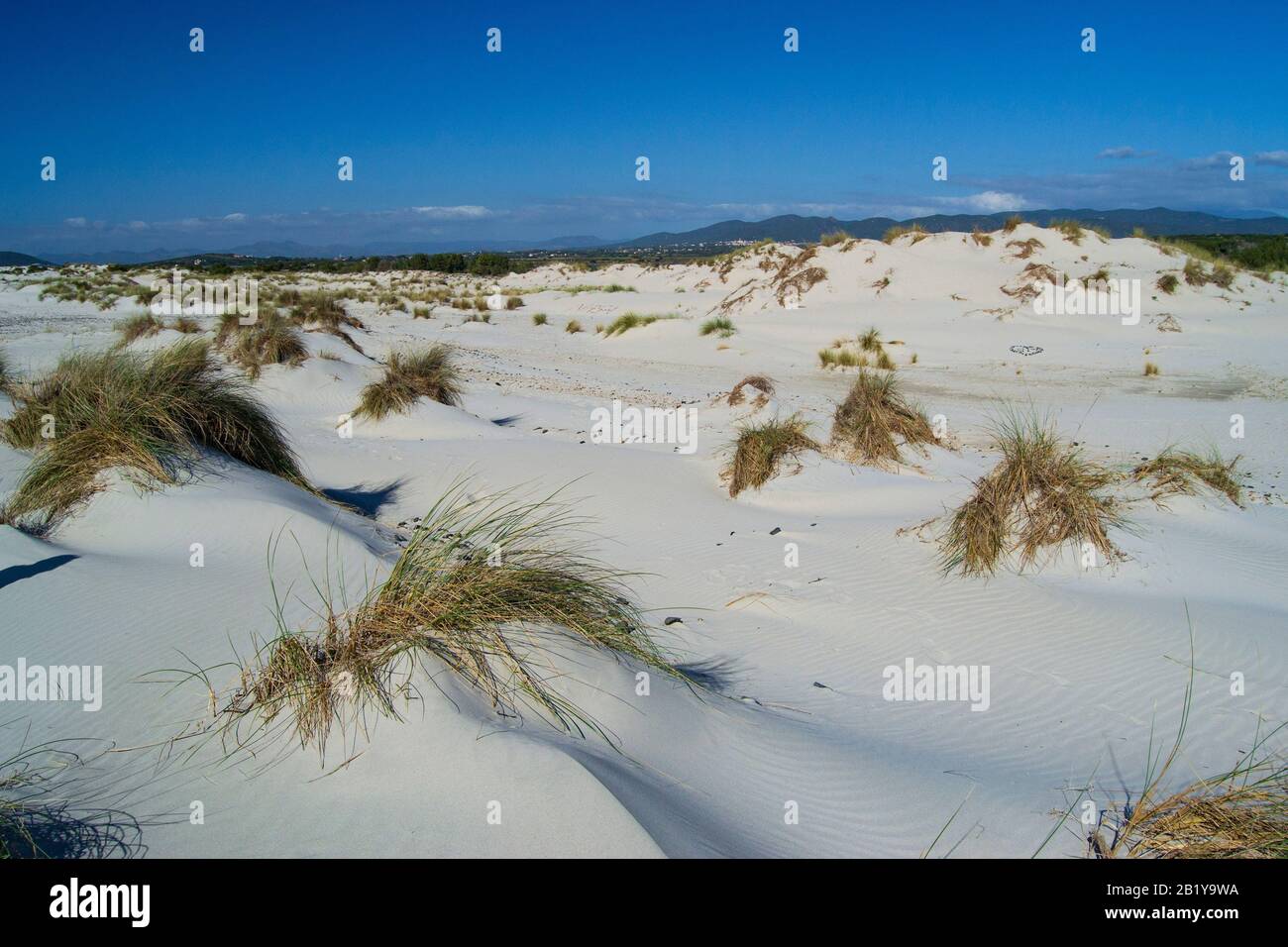 View of white dunes of Is Arenas Biancas, Teulada Stock Photo - Alamy