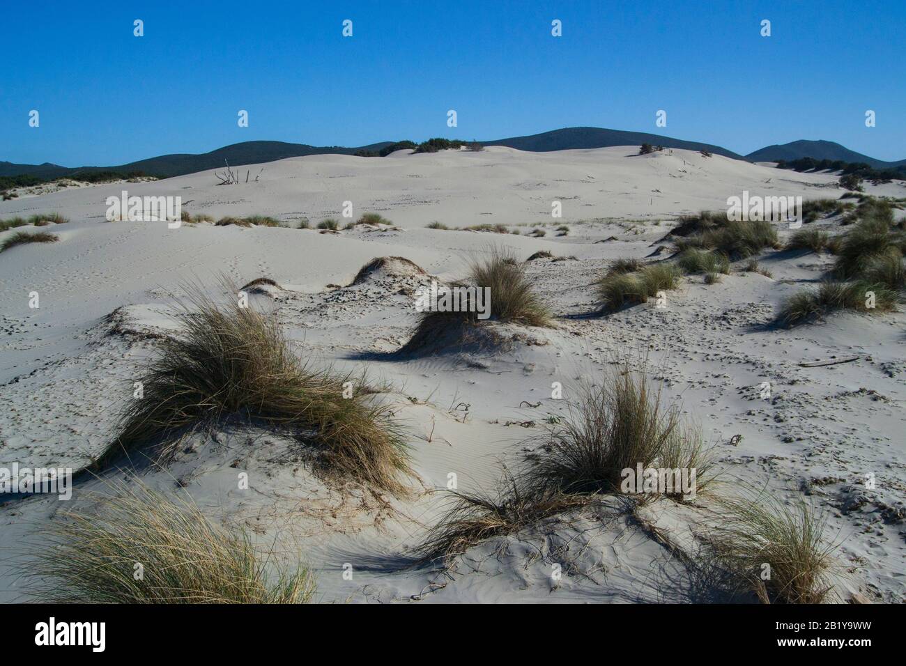View of white dunes of Is Arenas Biancas, Teulada Stock Photo - Alamy