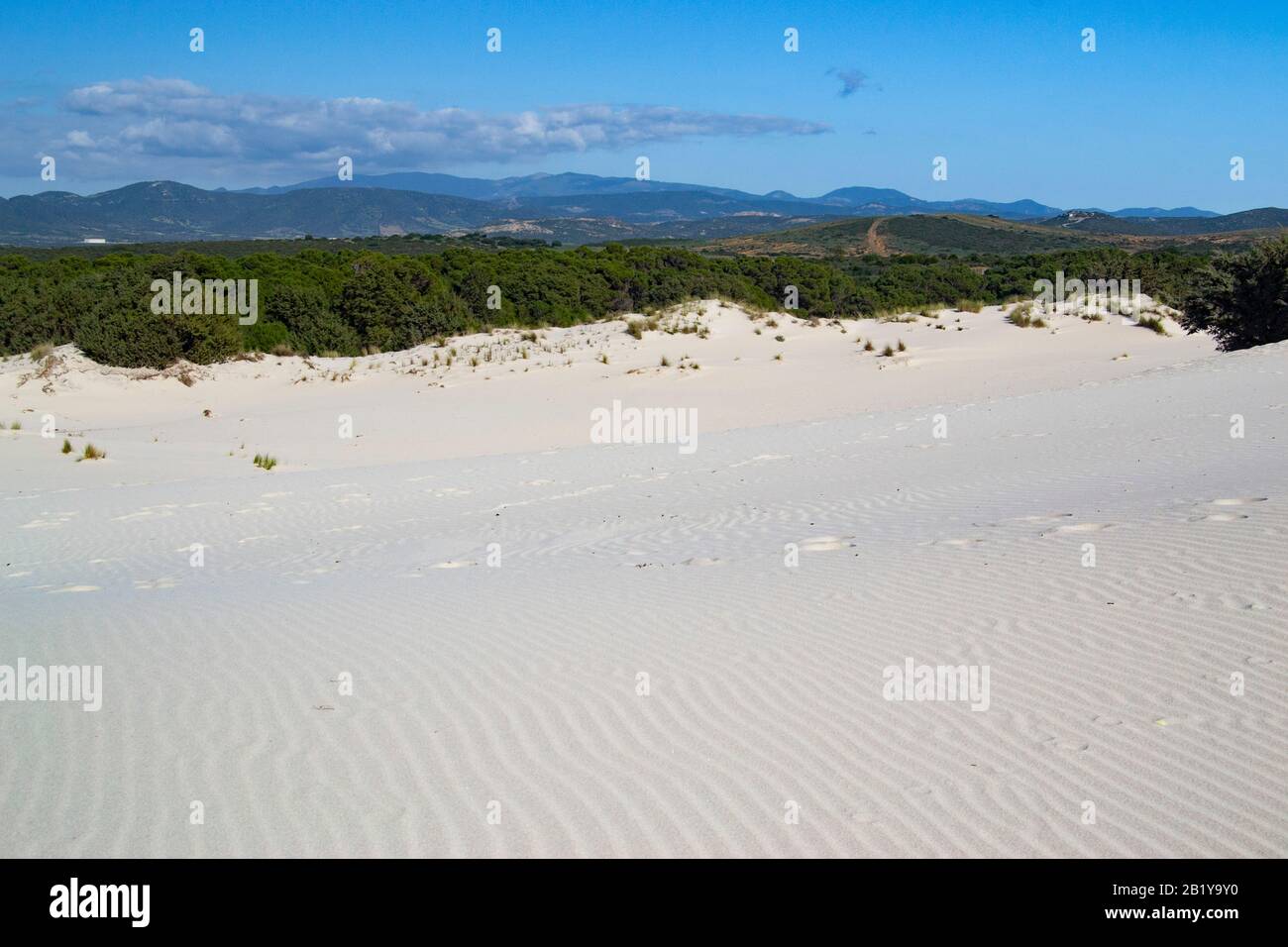 View of white dunes of Is Arenas Biancas, Teulada Stock Photo - Alamy
