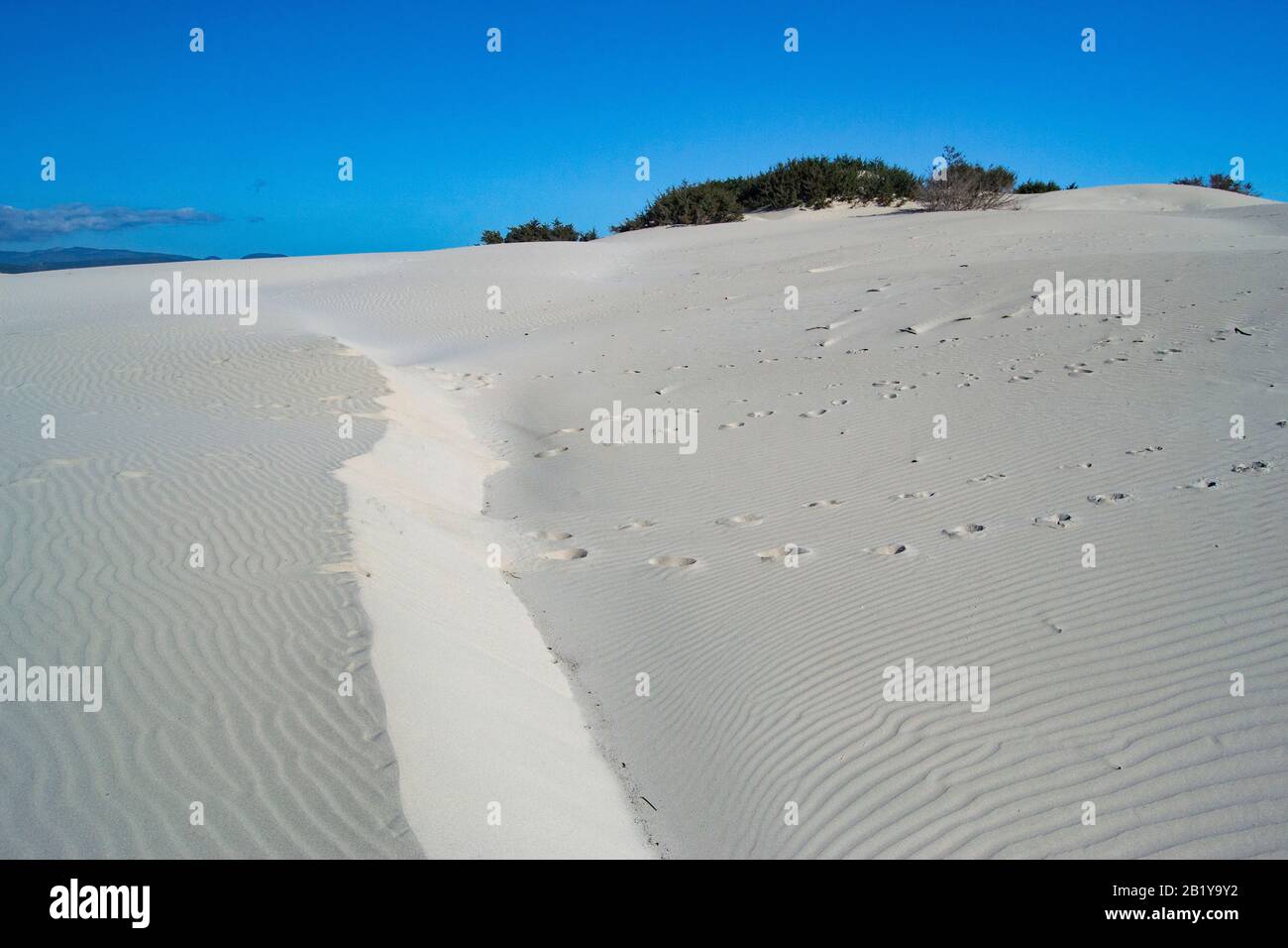 View of white dunes of Is Arenas Biancas, Teulada Stock Photo - Alamy