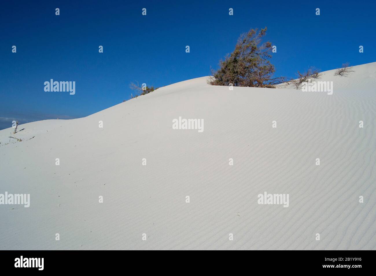 View of white dunes of Is Arenas Biancas, Teulada Stock Photo - Alamy