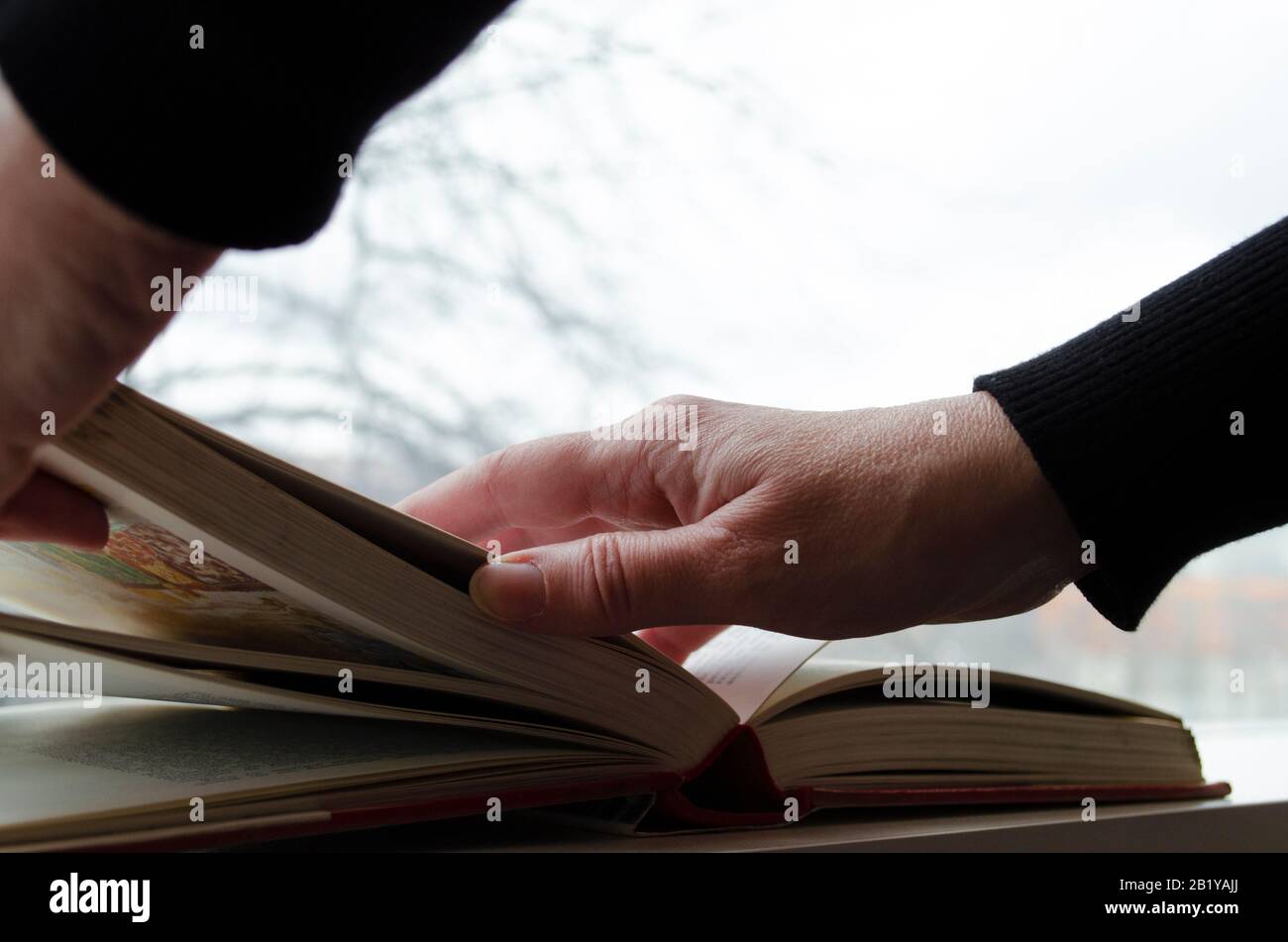 A person reading books near the window. Hands turns over book page ...