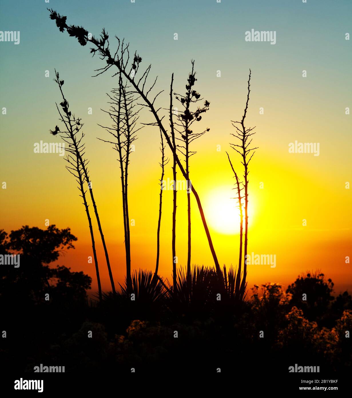 Mexican serenity hi-res stock photography and images - Alamy
