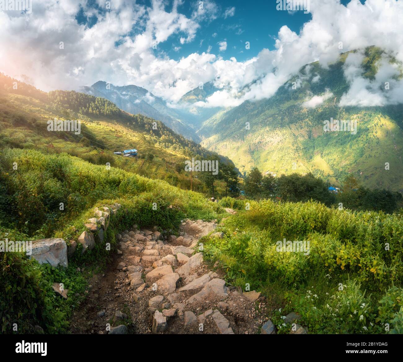 Spring forest walk hi-res stock photography and images - Alamy