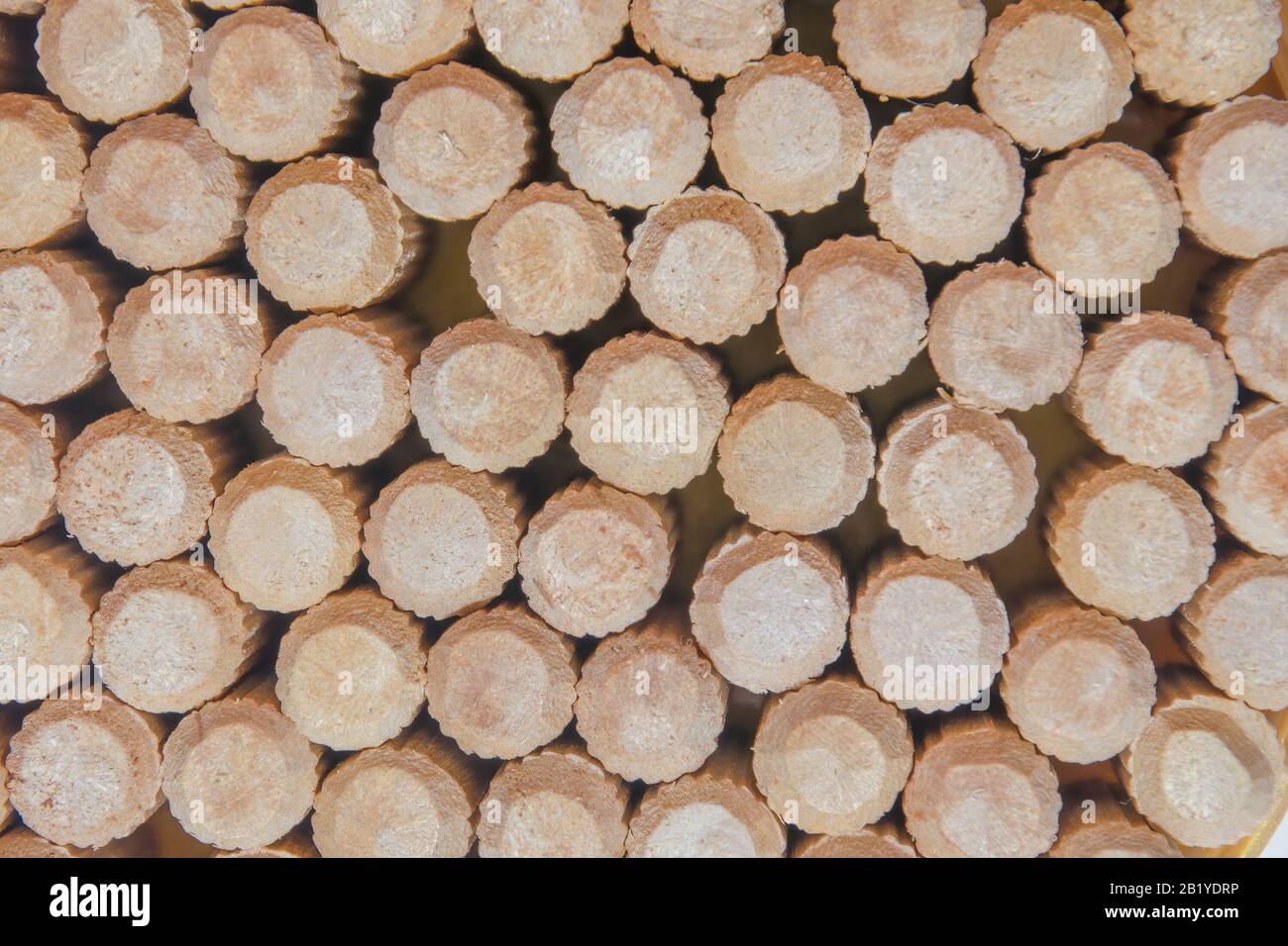 Abstract background of cylindrical wooden tree section. Cross section ...